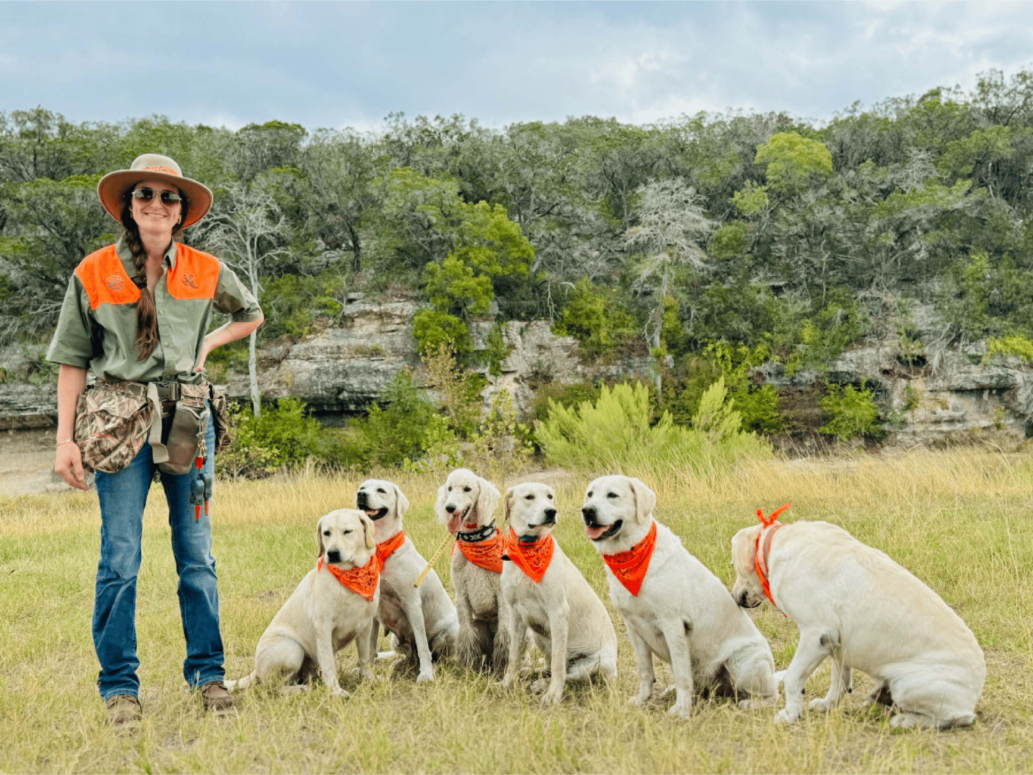 Yellow AKC Labrador Retrievers Puppies Austin - Peoples Choice Labs